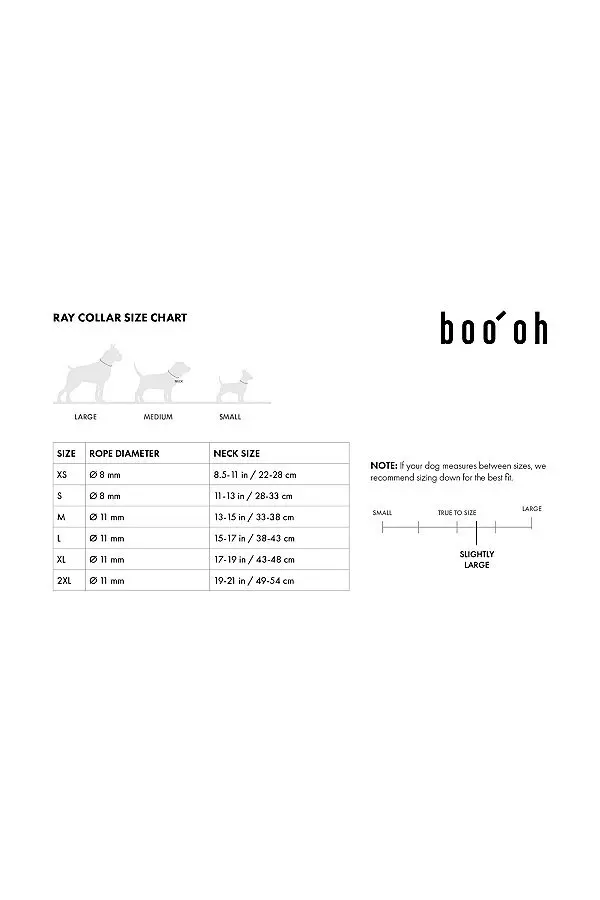 BOO OH Ray Dog Collar - Gold
