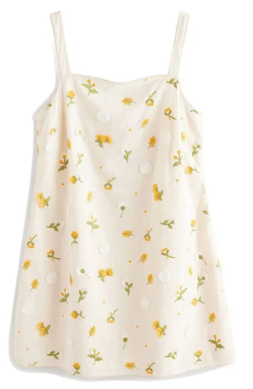 NEXT Floral Embroidered Cotton Minidress