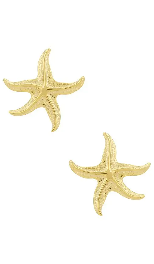 PETIT MOMENTS Starfish Stud Earrings - Gold