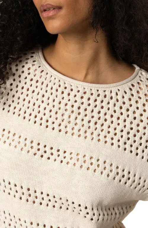 Sanctuary Stripe Open Stitch Cotton Sweater