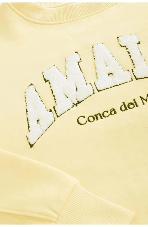 NEXT Bouclé Amalfi Graphic Sweatshirt