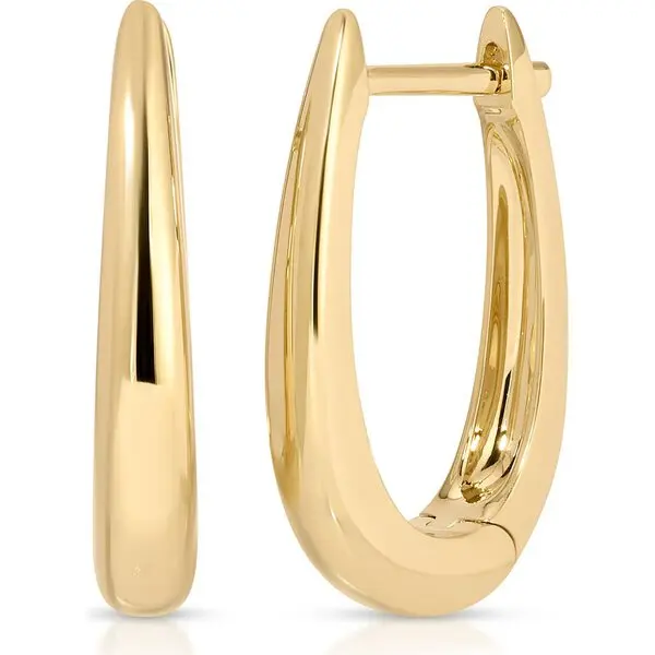 Ef Collection Maeve Hoop Earrings - 14k Yellow Gold