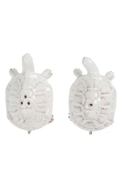 JULISKA Clever Creatures Turtle Salt & Pepper Shakers Set
