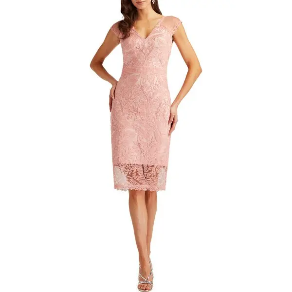 Tadashi Shoji Lace Line Dress Cocktail Dresses | Editorialist