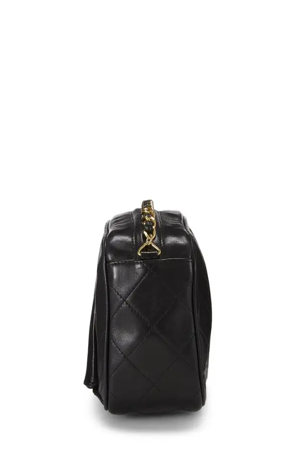 Chanel Lambskin Camera Bag