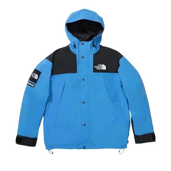 Supreme X The North Face Mountain Jacket