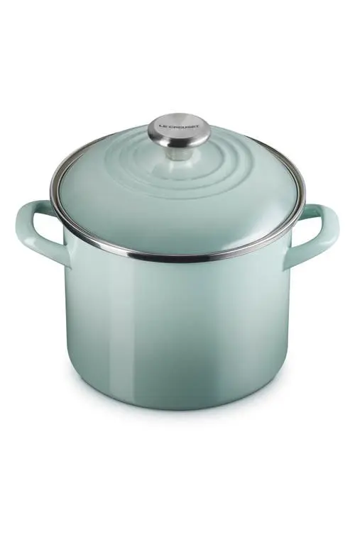 LE CREUSET 6-quart Enameled Stainless Steel Stock Pot - Sea Salt