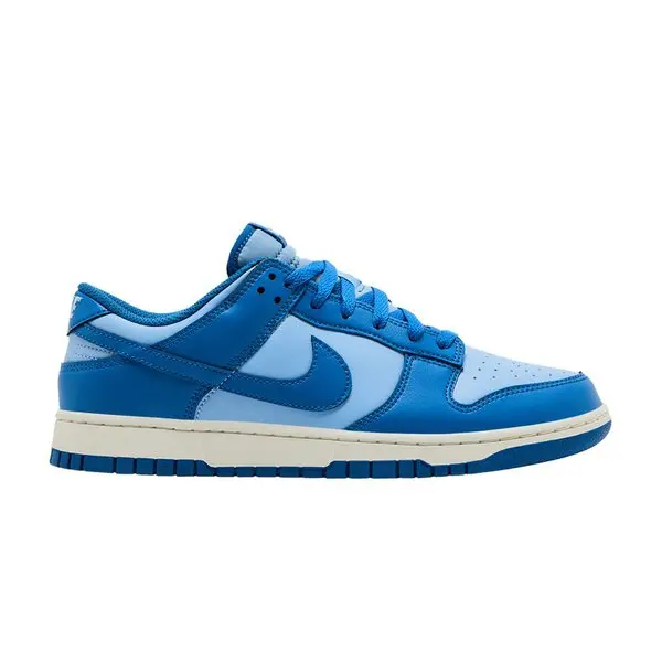 Nike Dunk Low Sneakers
