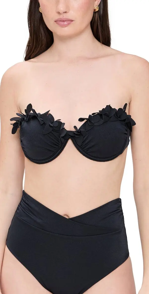 ANCORA Dendron Bikini Top - Black