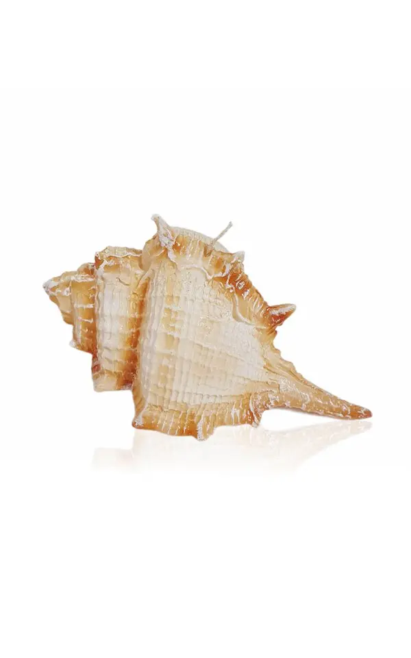 MODA DOMUS Riviera Murex Shell Candle