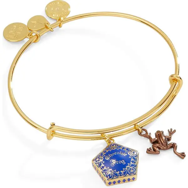 ALEX AND ANI Harry Potter Chocolate Frog Bangle Bracelet - Blue