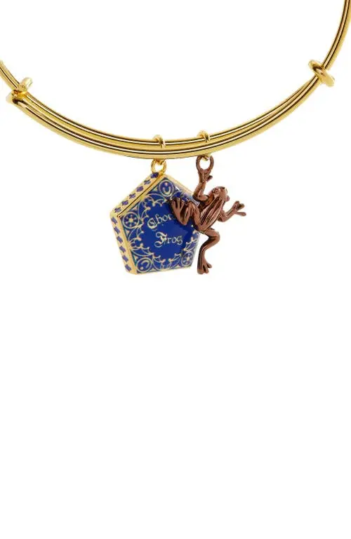 ALEX AND ANI Harry Potter Chocolate Frog Bangle Bracelet