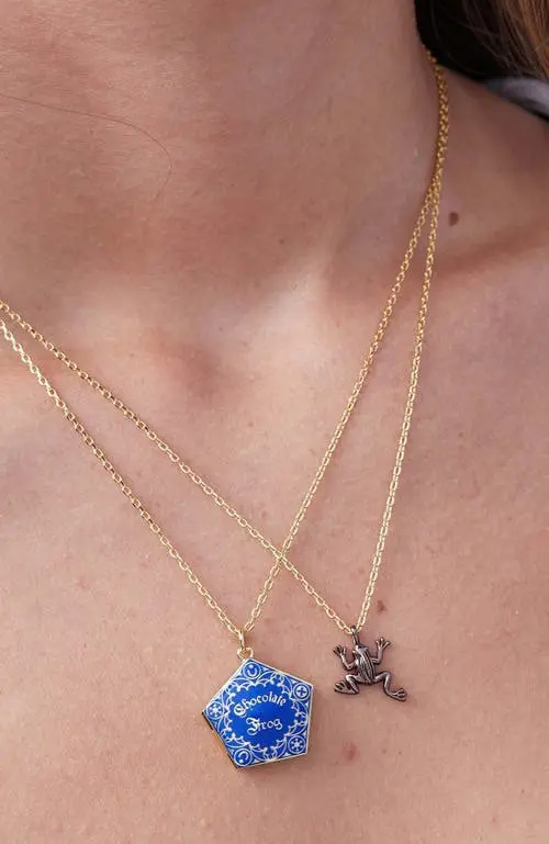 ALEX AND ANI Harry Potter Chocolate Frog Necklace Set