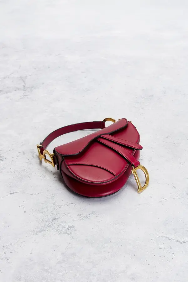 Dior Mini Saddle Bag