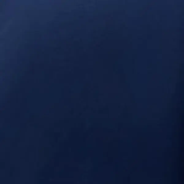 Ralph Lauren Cotton Player Pillowcase - Navy