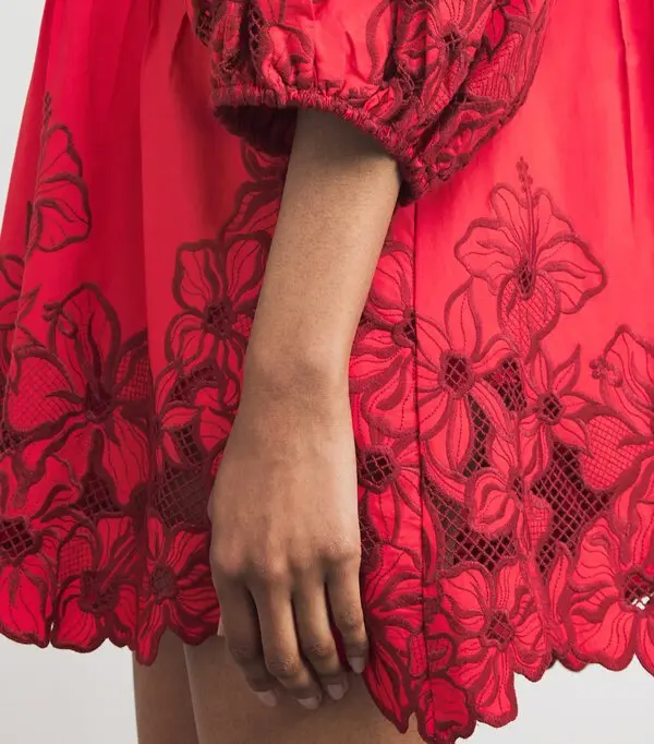 Floral Embroidered Mini Dress