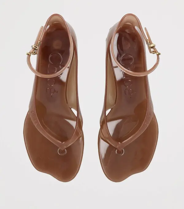 Chloé Jelly Heeled Sandals - Brown