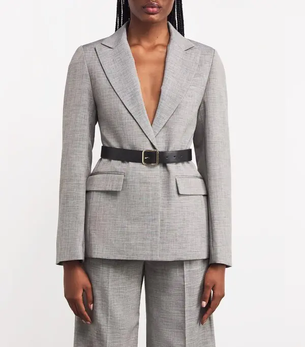 Maje Belted Single-breasted Blazer