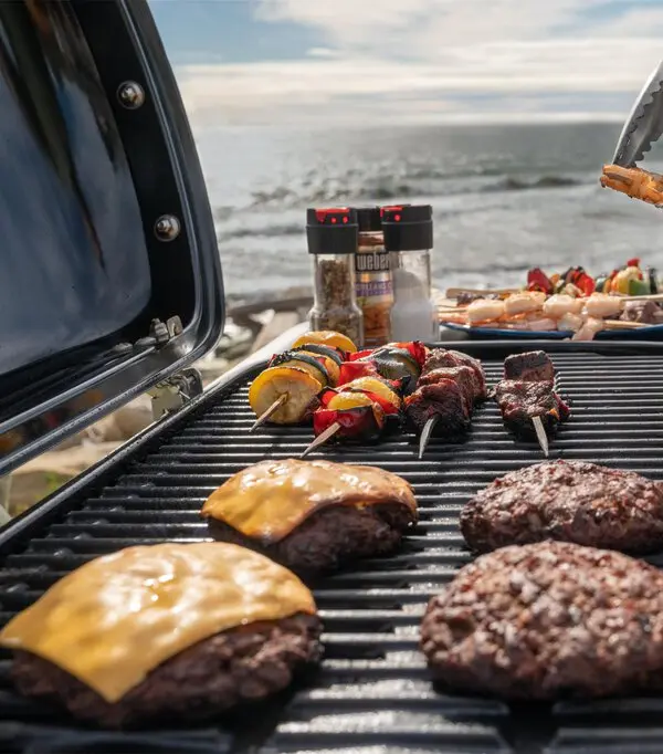 WEBER Traveler Stealth Portable Gas Bbq