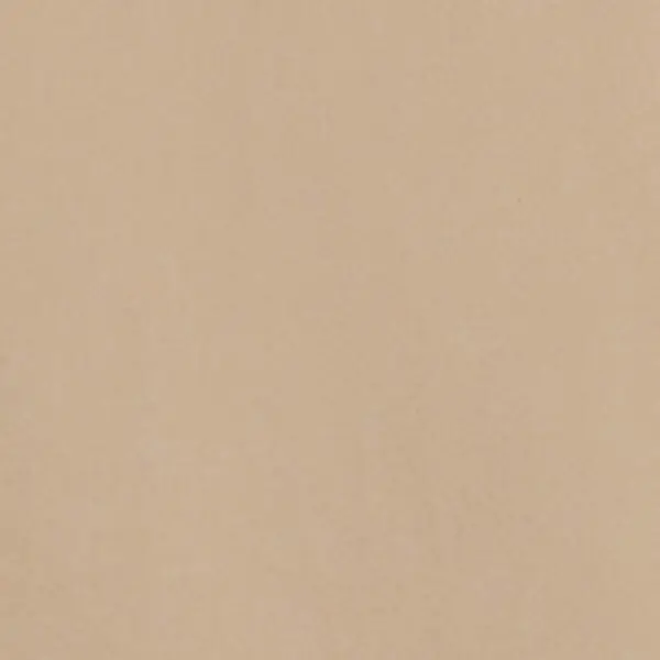 Polo Ralph Lauren Cotton Custom-fit Shirt - Beige