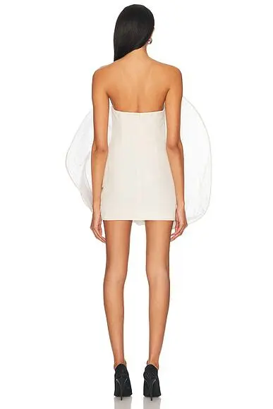 Magda Butrym Sculptural Mini Dress