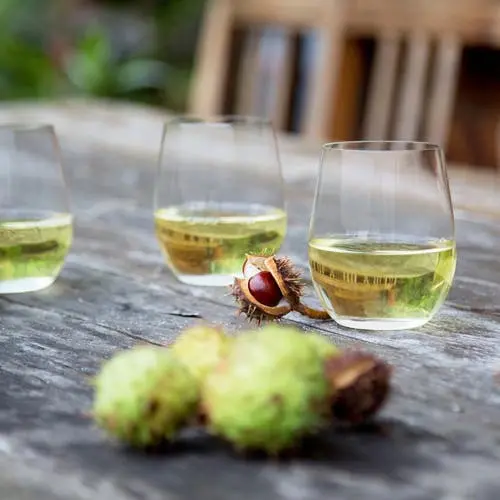 RIEDEL O Viognier/chardonnay Wine Tumbler