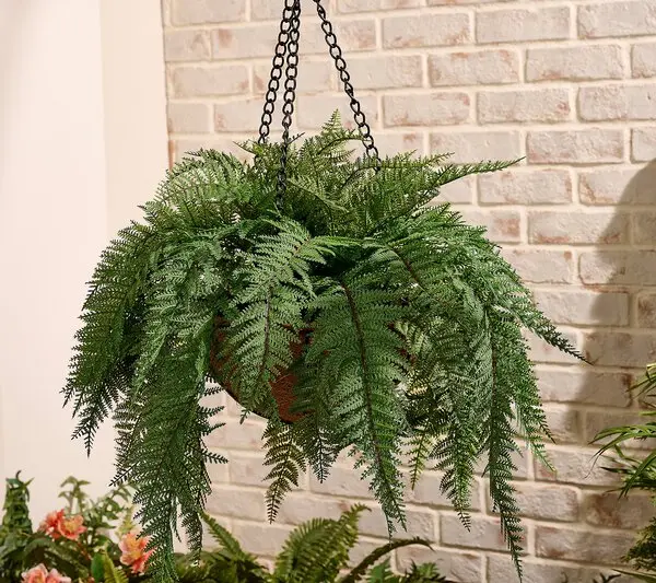 GARDEN REFLECTIONS 18' Faux Fern With Faux Soil Hanging Basket - One-color