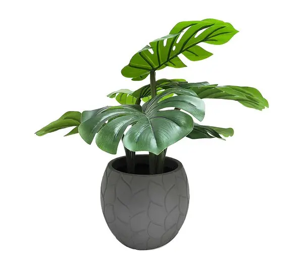 TEMP-TATIONS Medium Faux Monstera In Cement Pot - One-color