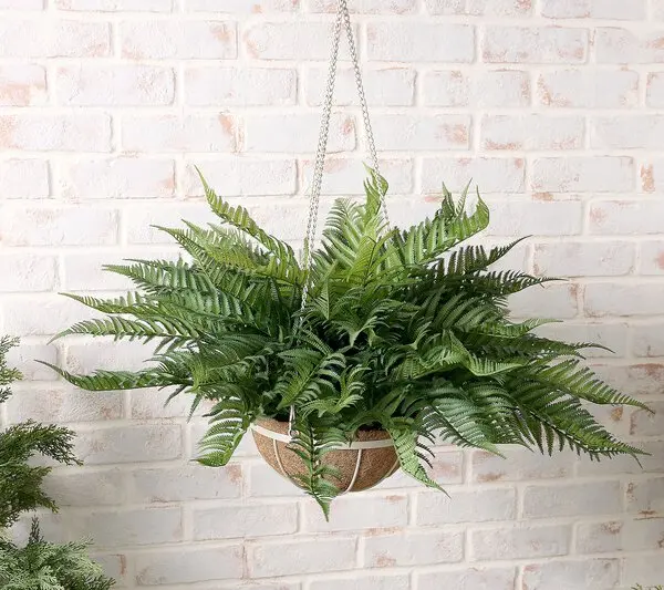 MARTHA STEWART As Is Faux Fern Hanging Basket - One-color