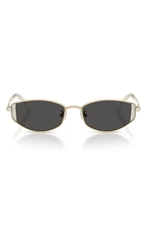 SWAROVSKI 53mm Oval Sunglasses - Pale Gold/dark Grey