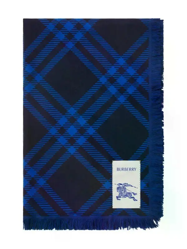 Burberry Checked Scarf - Blue
