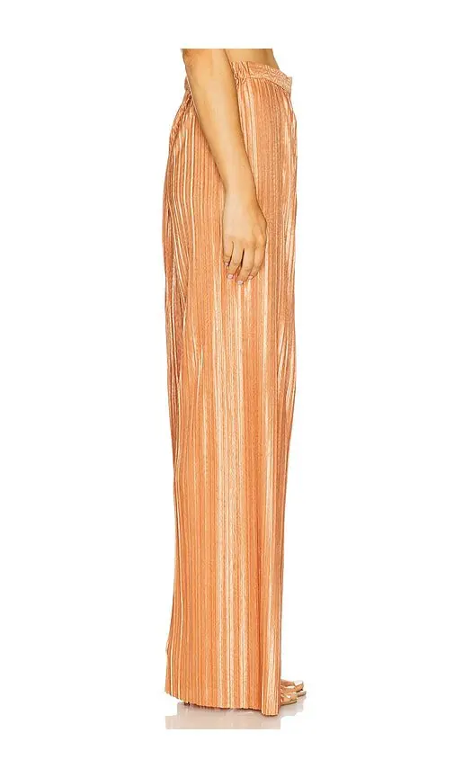 SABINA MUSAYEV Rainy Plisse Pants