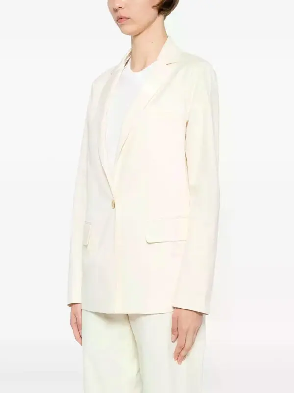Fabiana Filippi Single-breasted Blazer