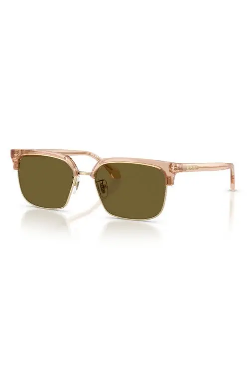 Versace 56mm Square Sunglasses - Transparent Brown/ Dark Brown