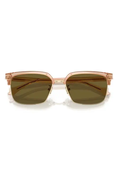 Versace 56mm Square Sunglasses - Transparent Brown/ Dark Brown
