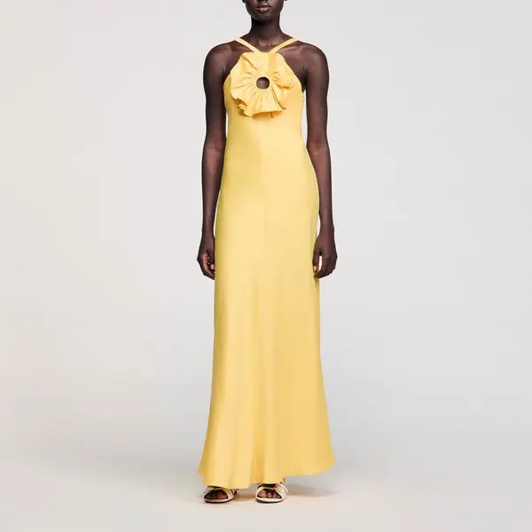 Sandro Floral Detail Maxi Dress