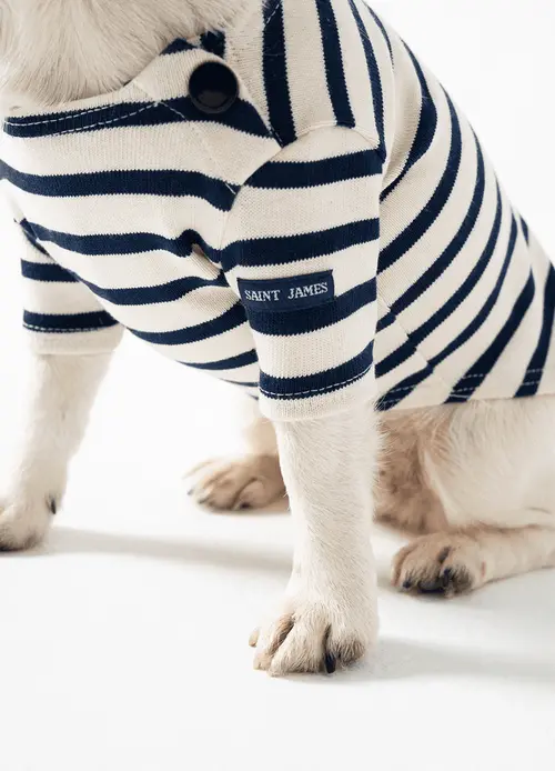 Saint James Striped Breton Shirt For Dog