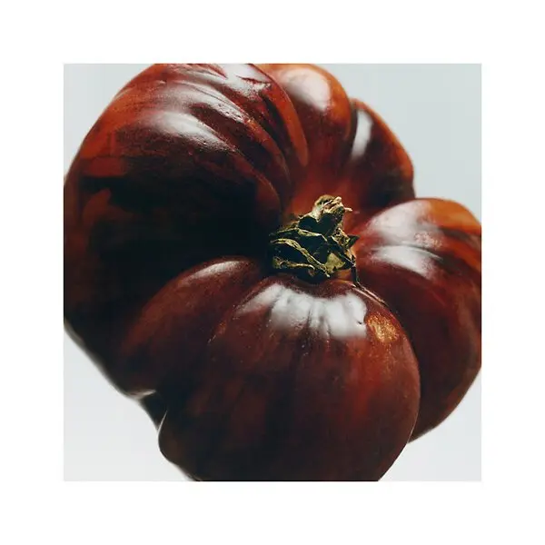 Loewe Tomato Leaves Liquid Soap