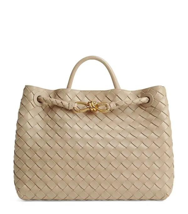 Bottega Veneta Medium Andiamo Shoulder Bag - Neutral