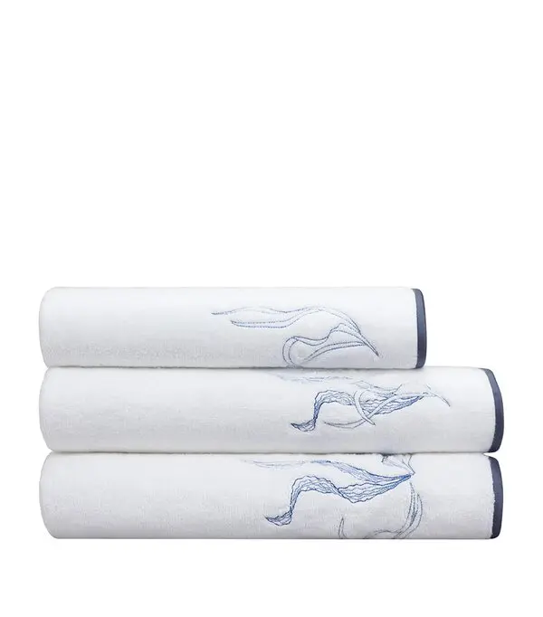 YVES DELORME COUTURE Organic Cotton Nautilus Guest Towel - Blue