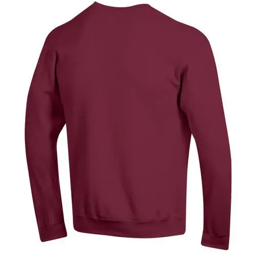 Champion South Carolina Gamecocks Arch Over Logo Pullover Sweatshirt