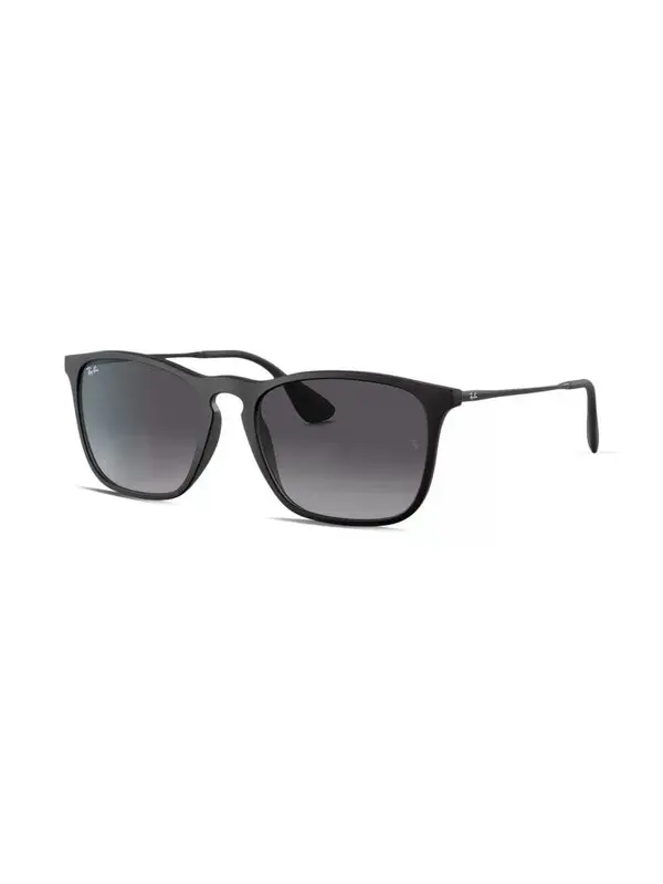 Ray-ban Sunglasses