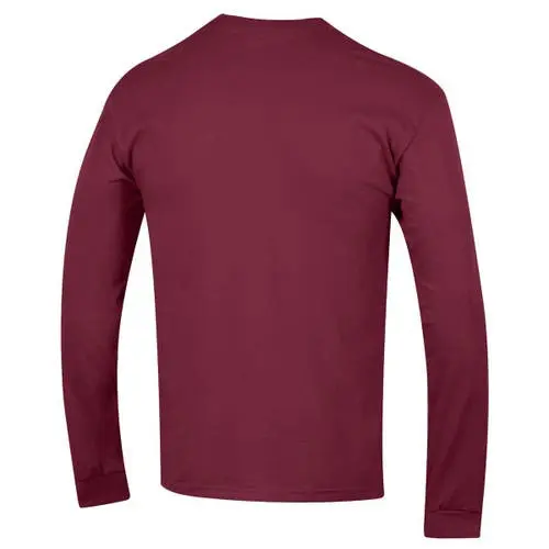 Champion South Carolina Gamecocks Basic Arch Long Sleeve T-shirt