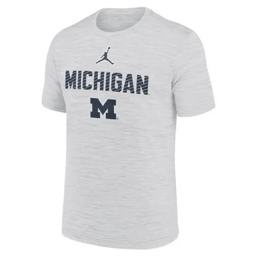 JORDAN BRAND White Michigan Wolverines Campus Slant Velocity Performance T-shirt