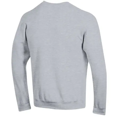 Champion South Carolina Gamecocks Arch Over Logo Pullover Sweatshirt - Heather Gray