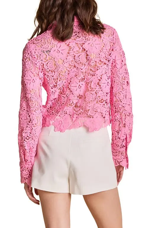Endless Rose Lace Crop Shirt