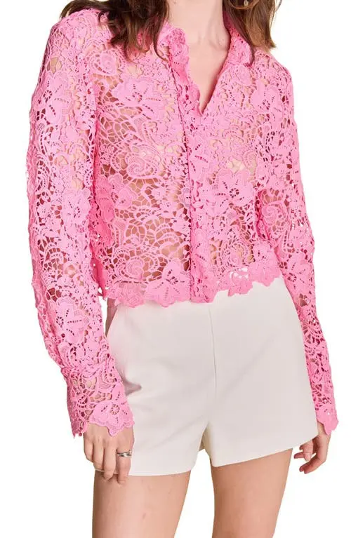Endless Rose Lace Crop Shirt