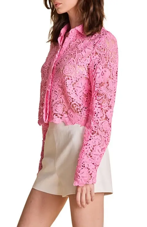 Endless Rose Lace Crop Shirt