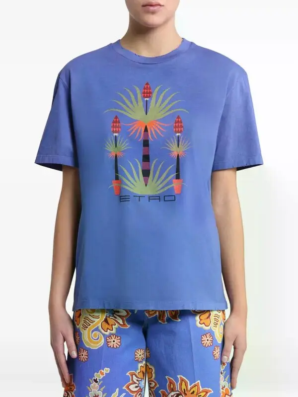 Etro X Agostino Iacurci Printed T-shirt - Blue