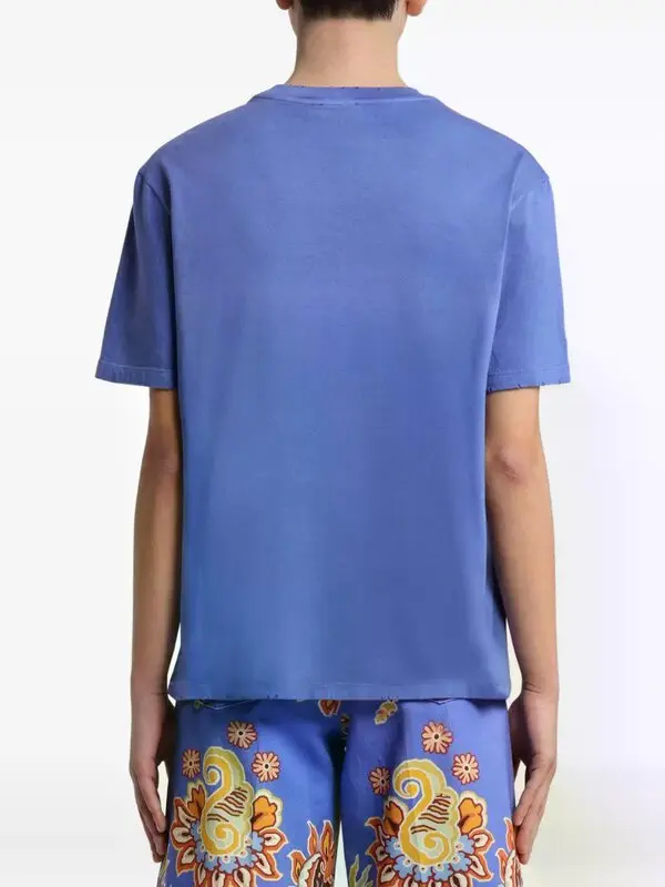 Etro X Agostino Iacurci Printed T-shirt - Blue